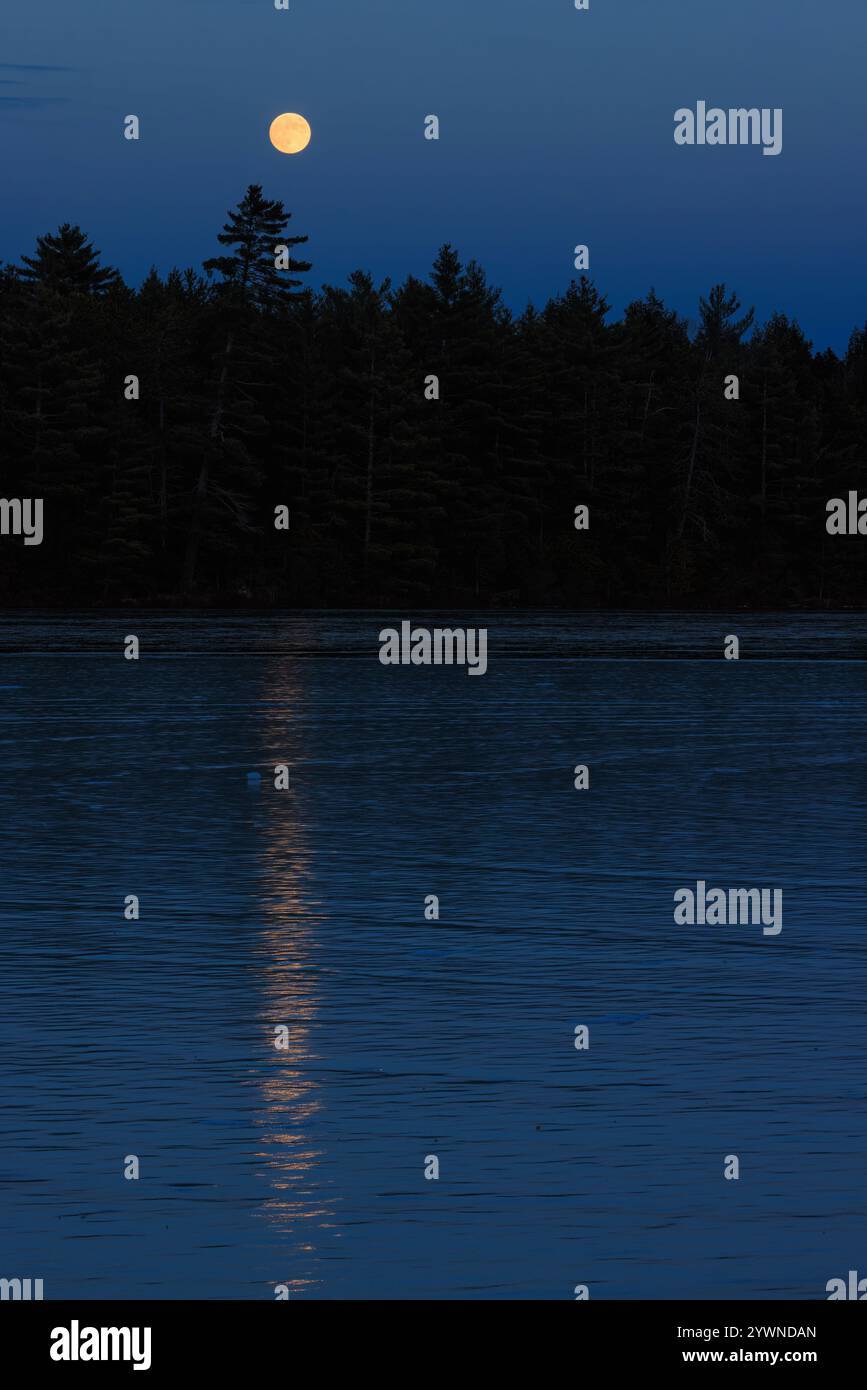 A full Moon rises above the trees and casts a reflection on the ice below Stock Photo - Alamy