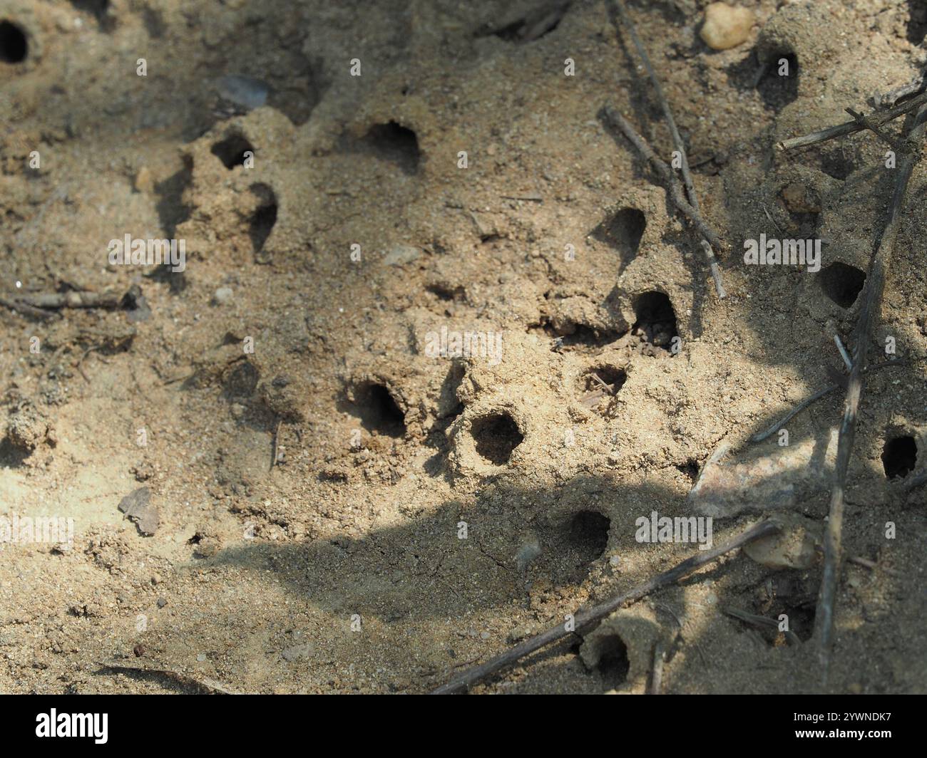 Abrupt digger hi-res stock photography and images - Alamy