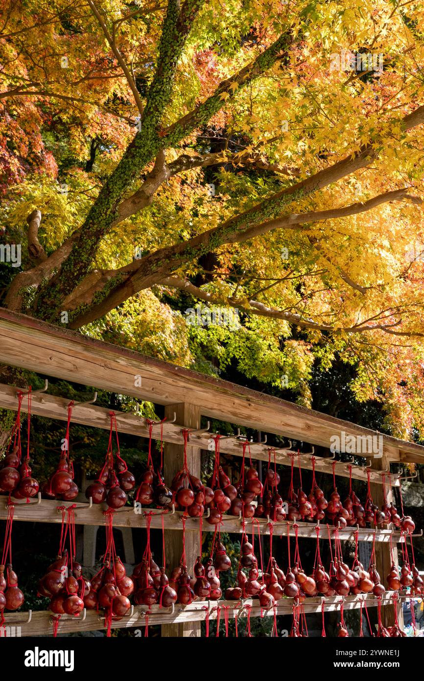 Fukuoka, Japan – November 15, 2022 : Dazaifu Tenmangu Shrine, which is ...