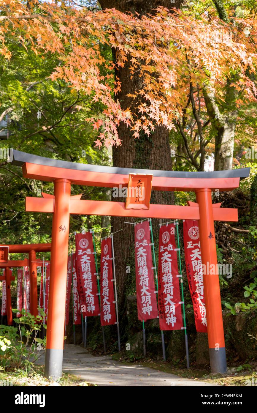 Fukuoka, Japan – November 15, 2022 :The Tenkai Inari Shrine at Dazaifu ...