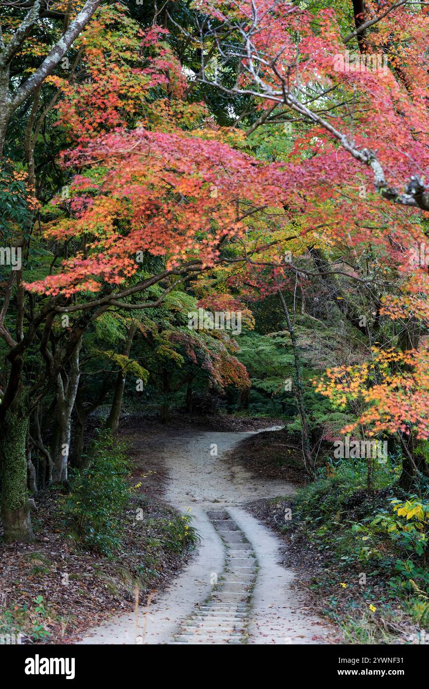 The colorful fall in Japan Stock Photo - Alamy