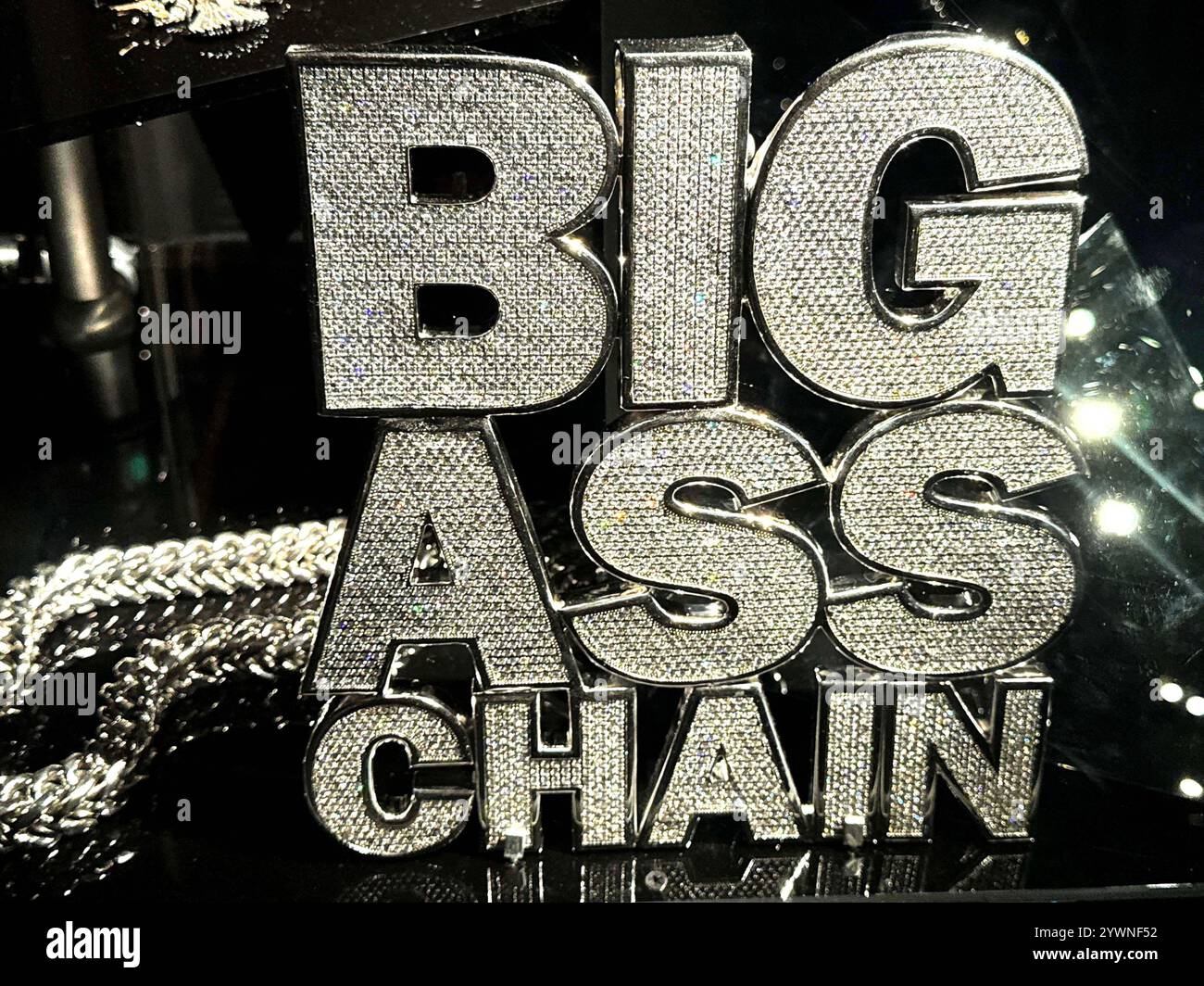 New York, New York, USA. 10th Dec, 2024. T-Pain Big Ass Chain necklace ...