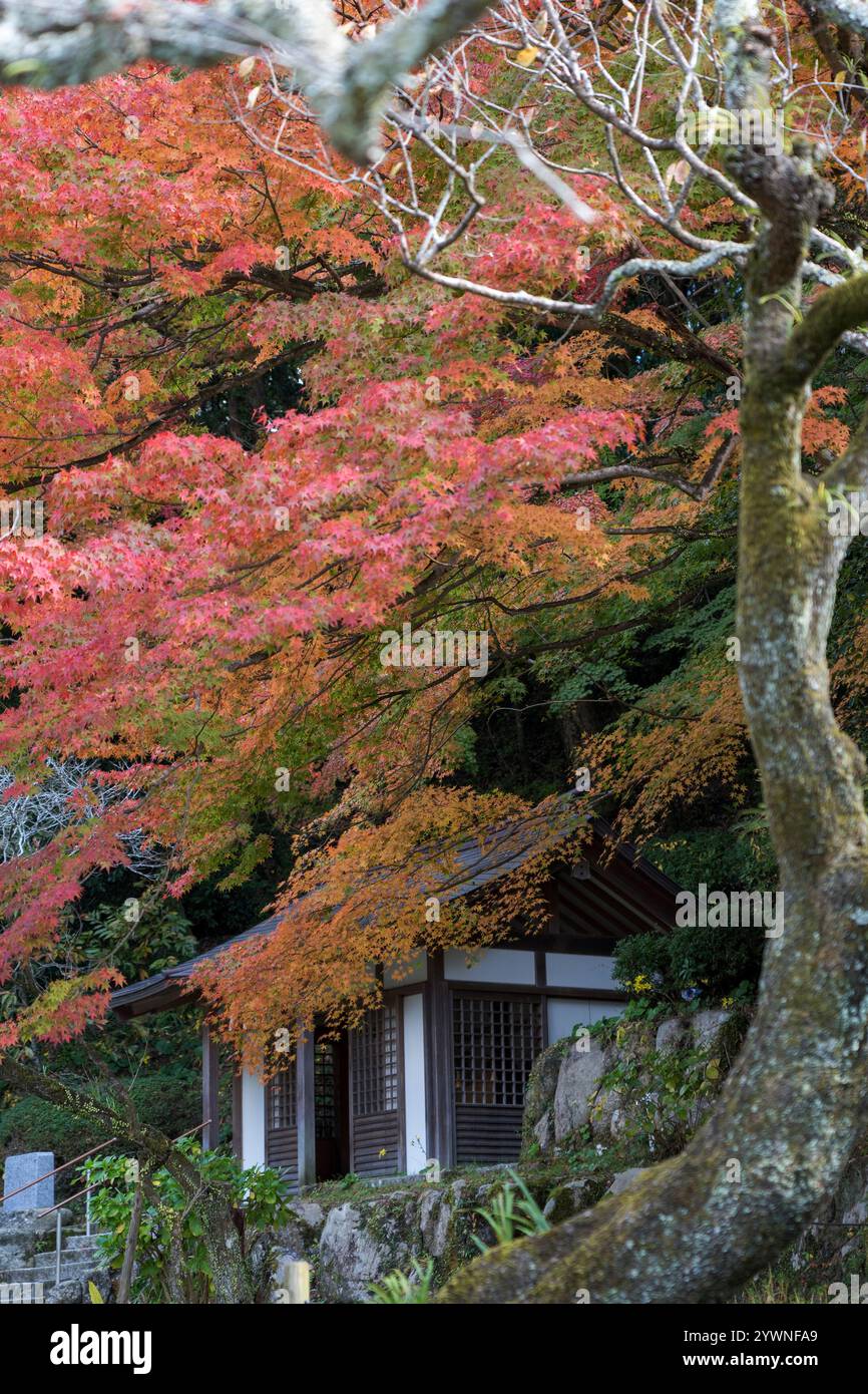 The colorful fall in Japan Stock Photo - Alamy
