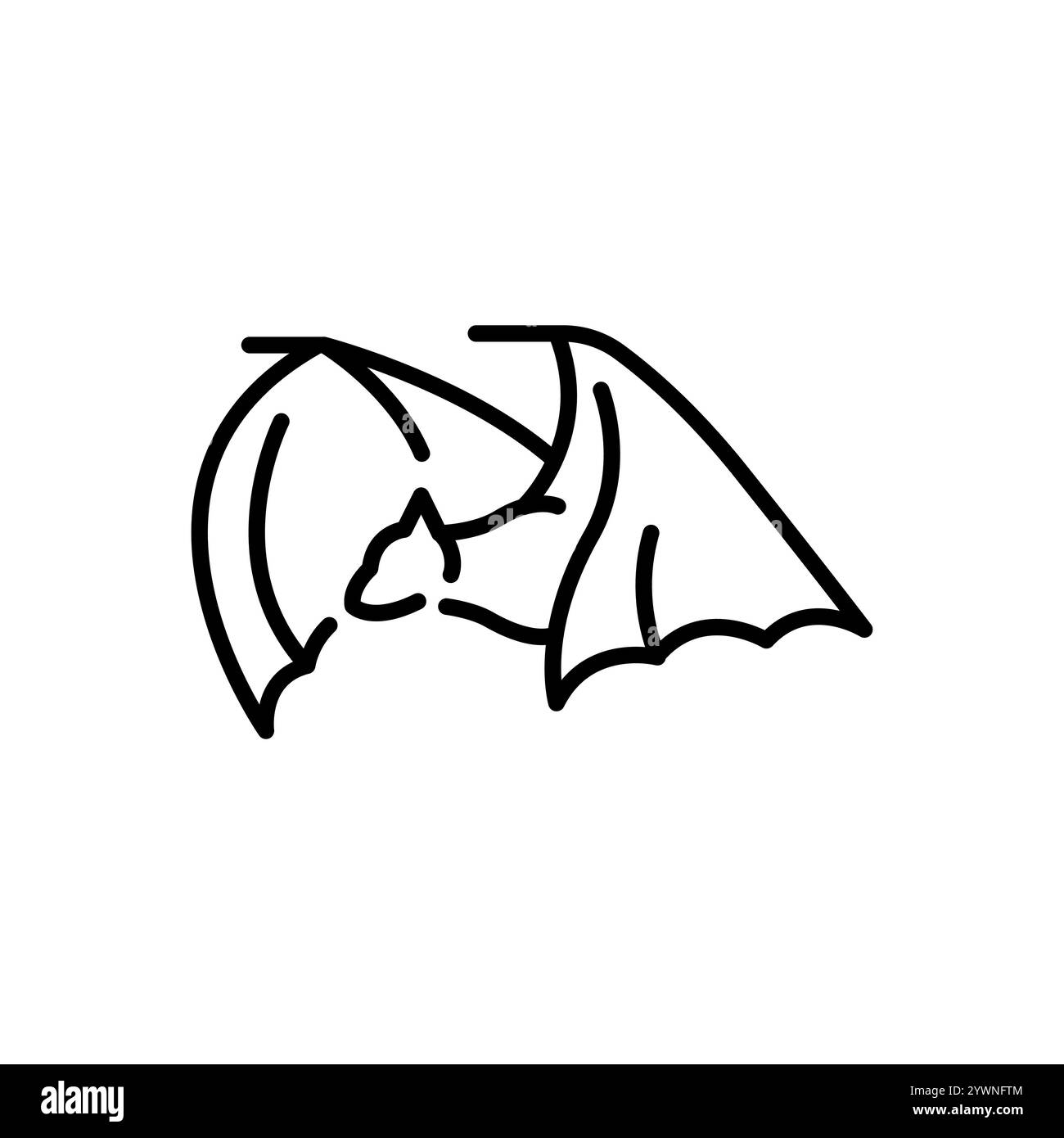 Australian flying fox black line illustration. Animals of Australia ...