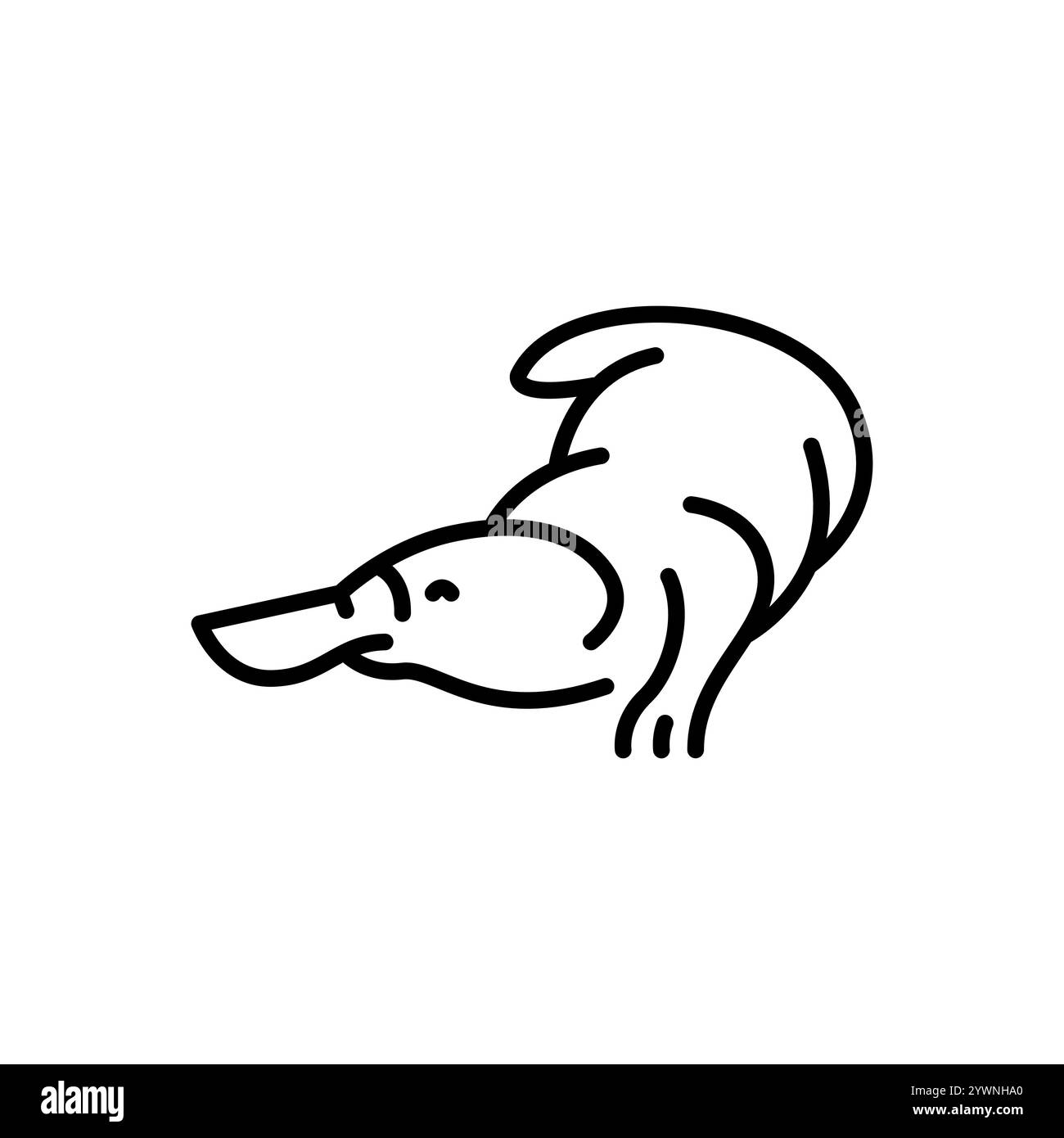 Australian platypus black line illustration. Animals of Australia ...