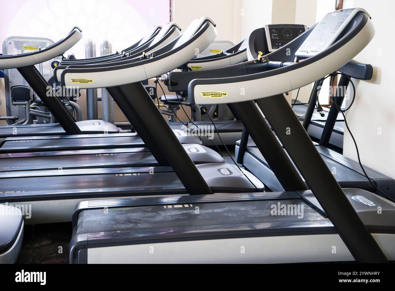 Modern gym interior with equipment. Fitness club with row of treadmills ...