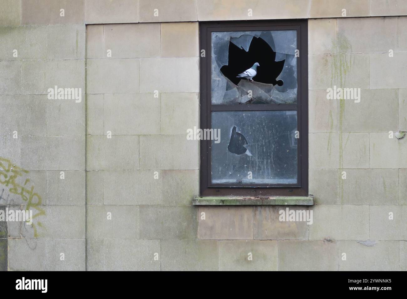 Abandoned riverside property hi-res stock photography and images - Alamy