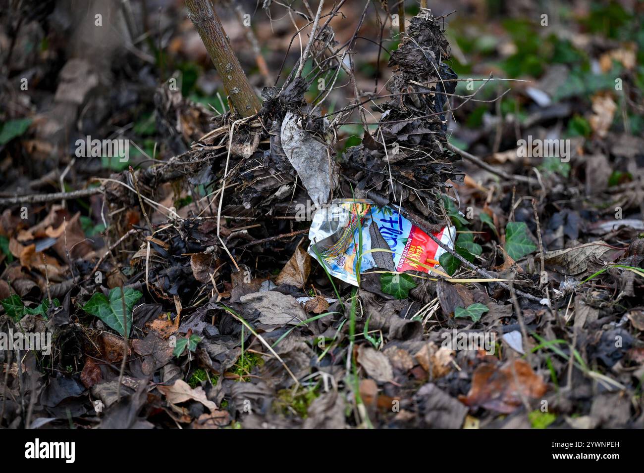 Muell, Mist 11.12.2024, Linz, AUT, Muell, Mist, im Bild Unachtsam ...