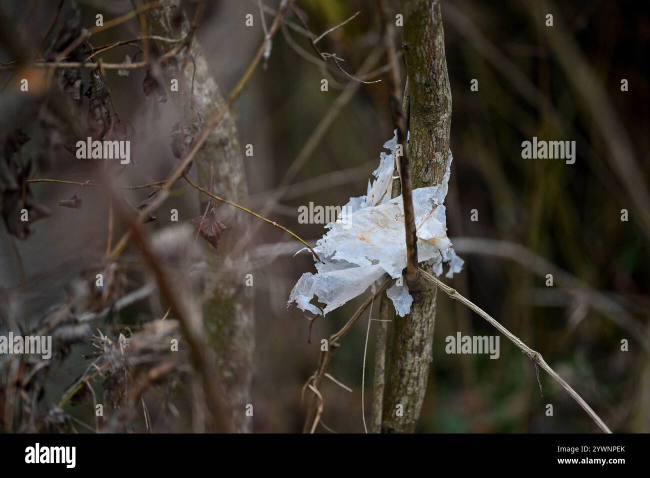 Muell, Mist 11.12.2024, Linz, AUT, Muell, Mist, im Bild Unachtsam ...