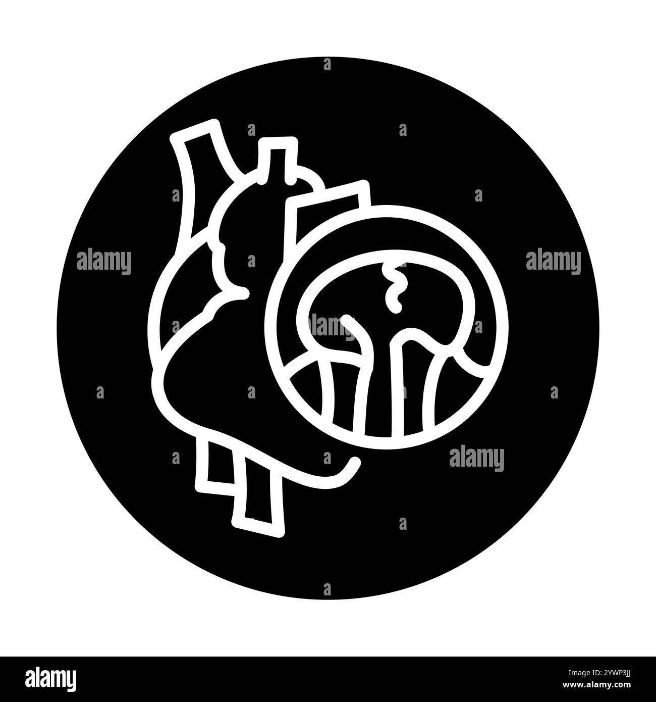Ventricular vector vectors hi-res stock photography and images - Alamy