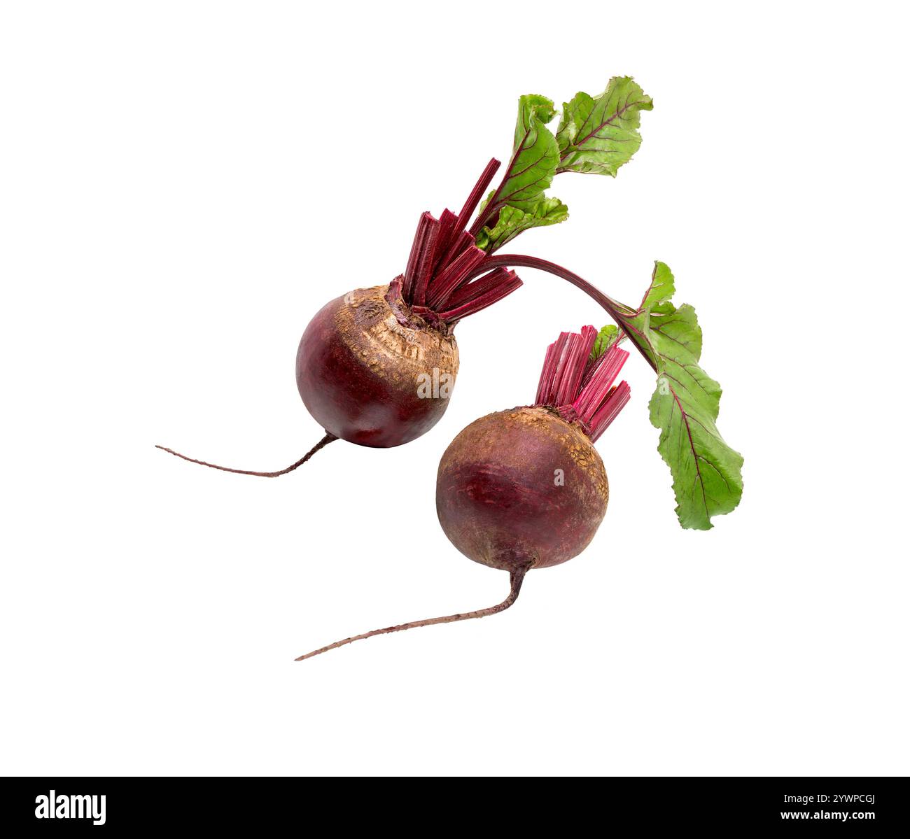 Beetroot isolated on white background with clipping path. Two whole ...