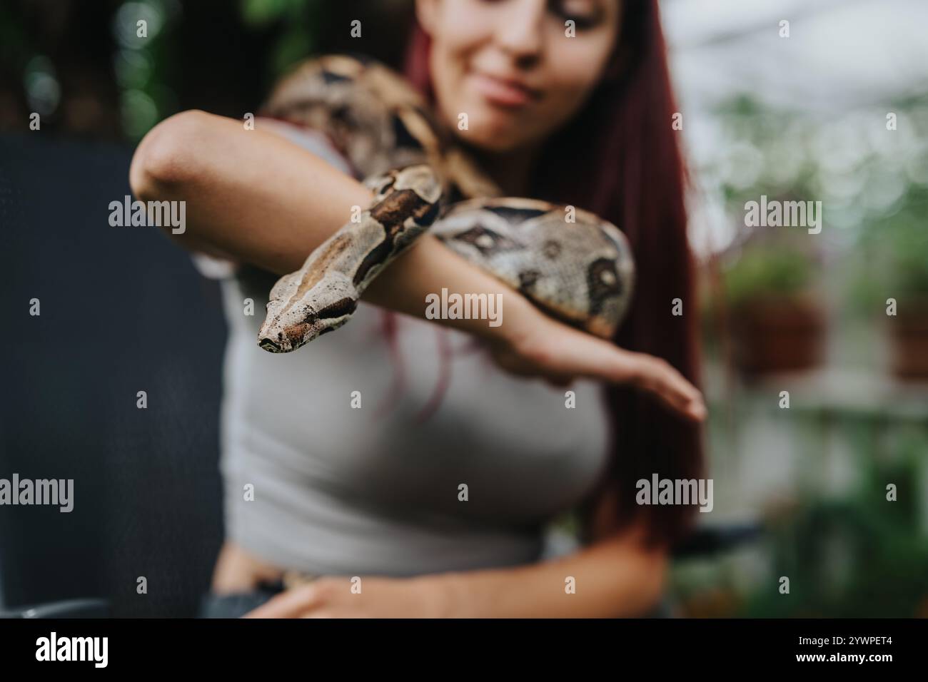 Girl with boa constrictor snake resting on her arm outdoors Stock Photo - Alamy
