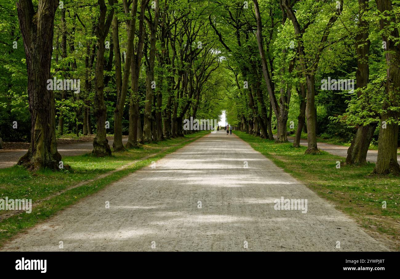 Park hvězda praha prague hi-res stock photography and images - Alamy