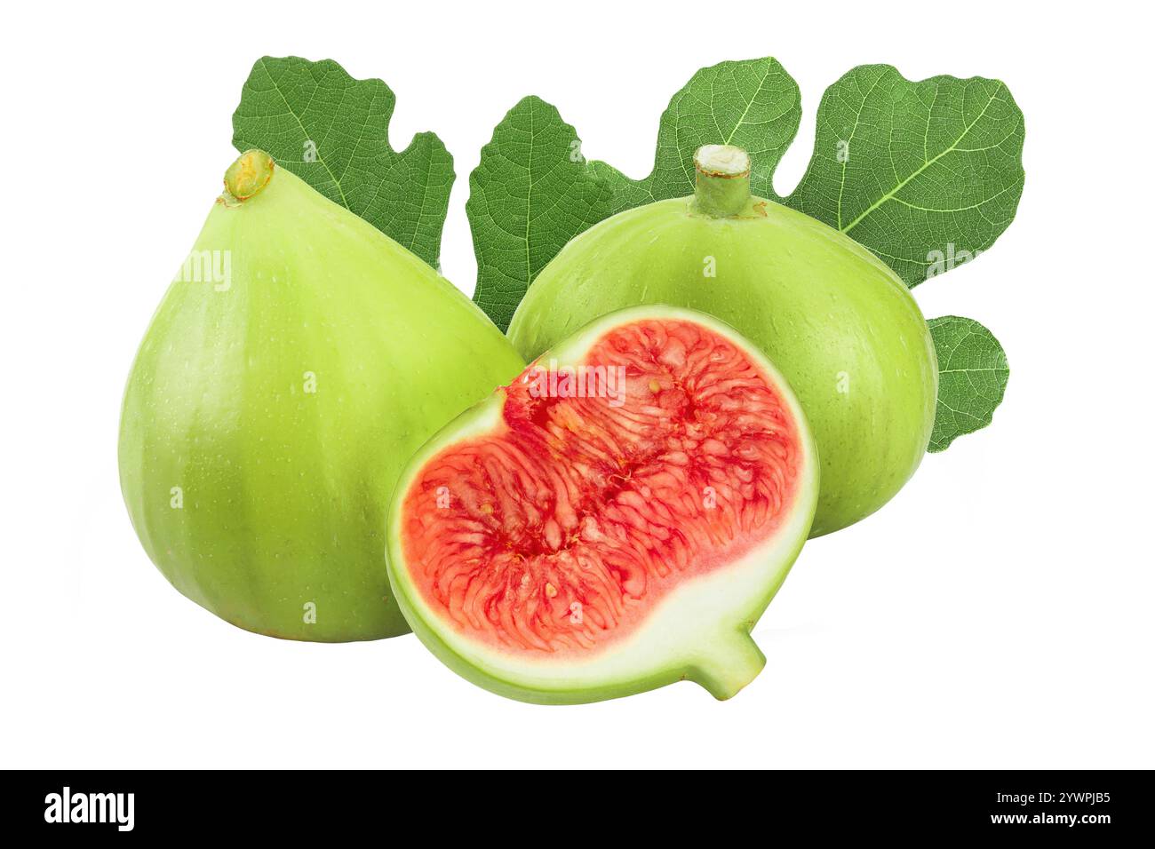 Ripe green fig fruit isolated on white background with full depth of ...