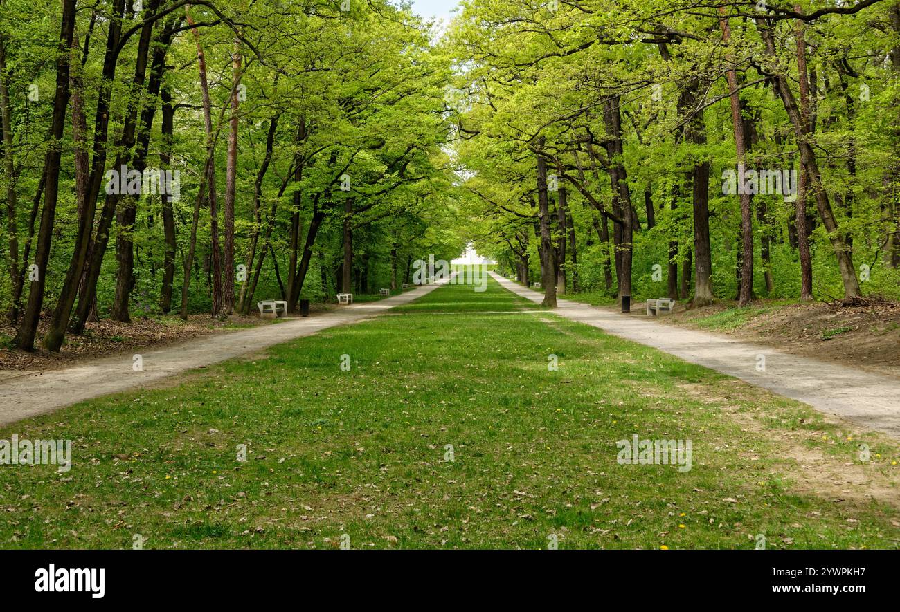 Park hvězda praha prague hi-res stock photography and images - Alamy