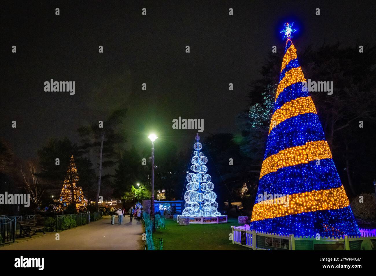 Bournemouth town centre night hi-res stock photography and images - Alamy
