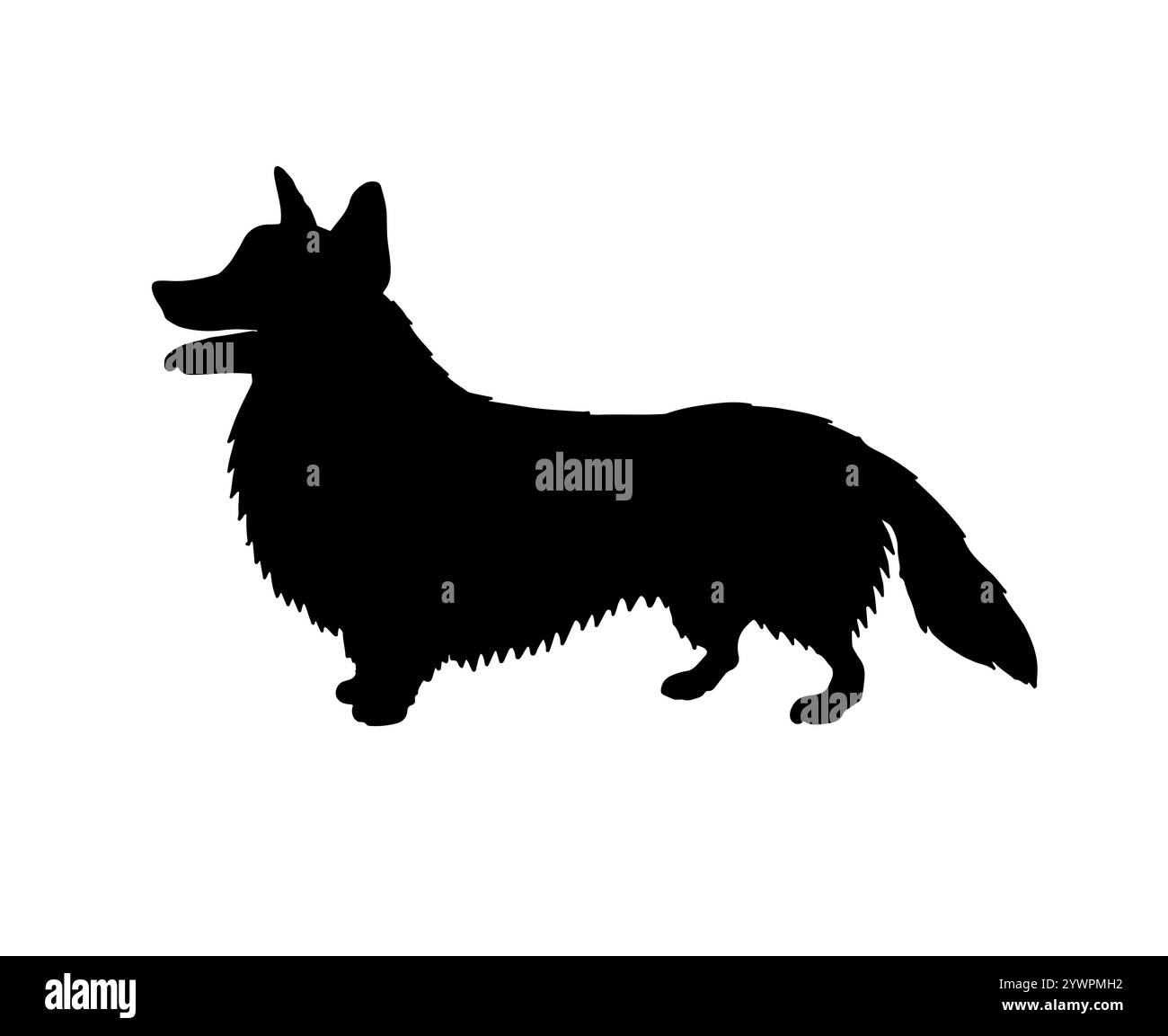 Vector black corgi dog silhouette isolated on white background Stock ...