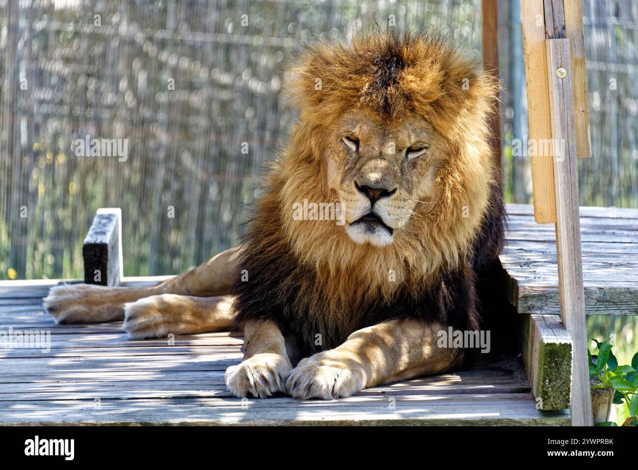 Tábor a jeho ZOO / Tábor and its ZOO Stock Photo - Alamy