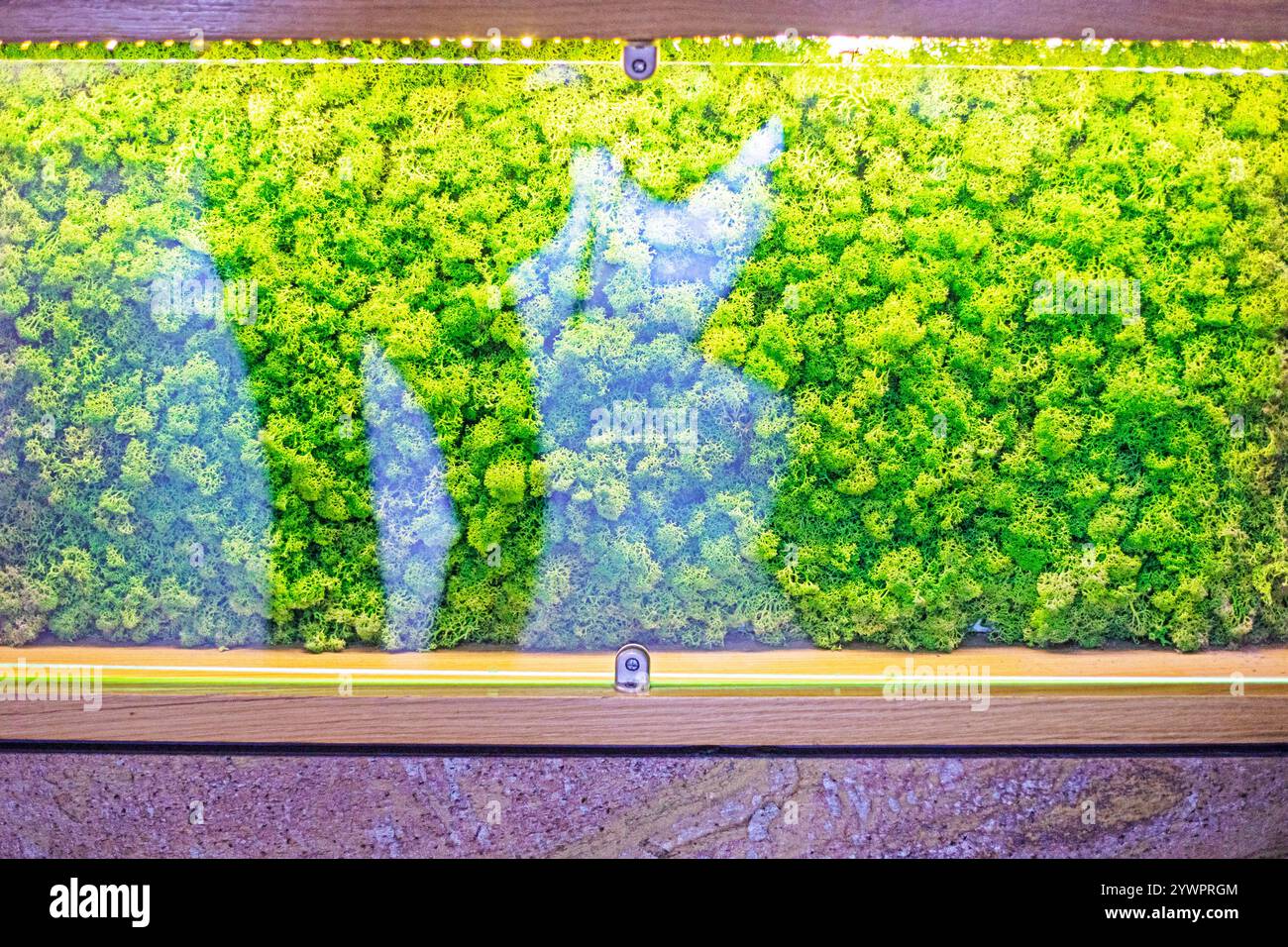 Eco inspired interior hi-res stock photography and images - Alamy