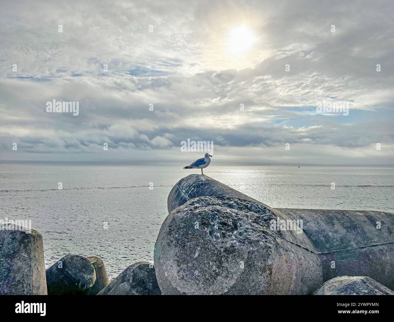 Portugal, Peniche, concrete tide blocks on the pier Stock Photo - Alamy