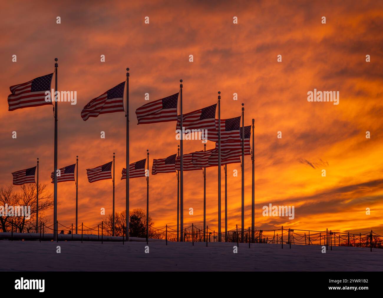 Rows of American flags silhouetted against a vibrant orange and red ...