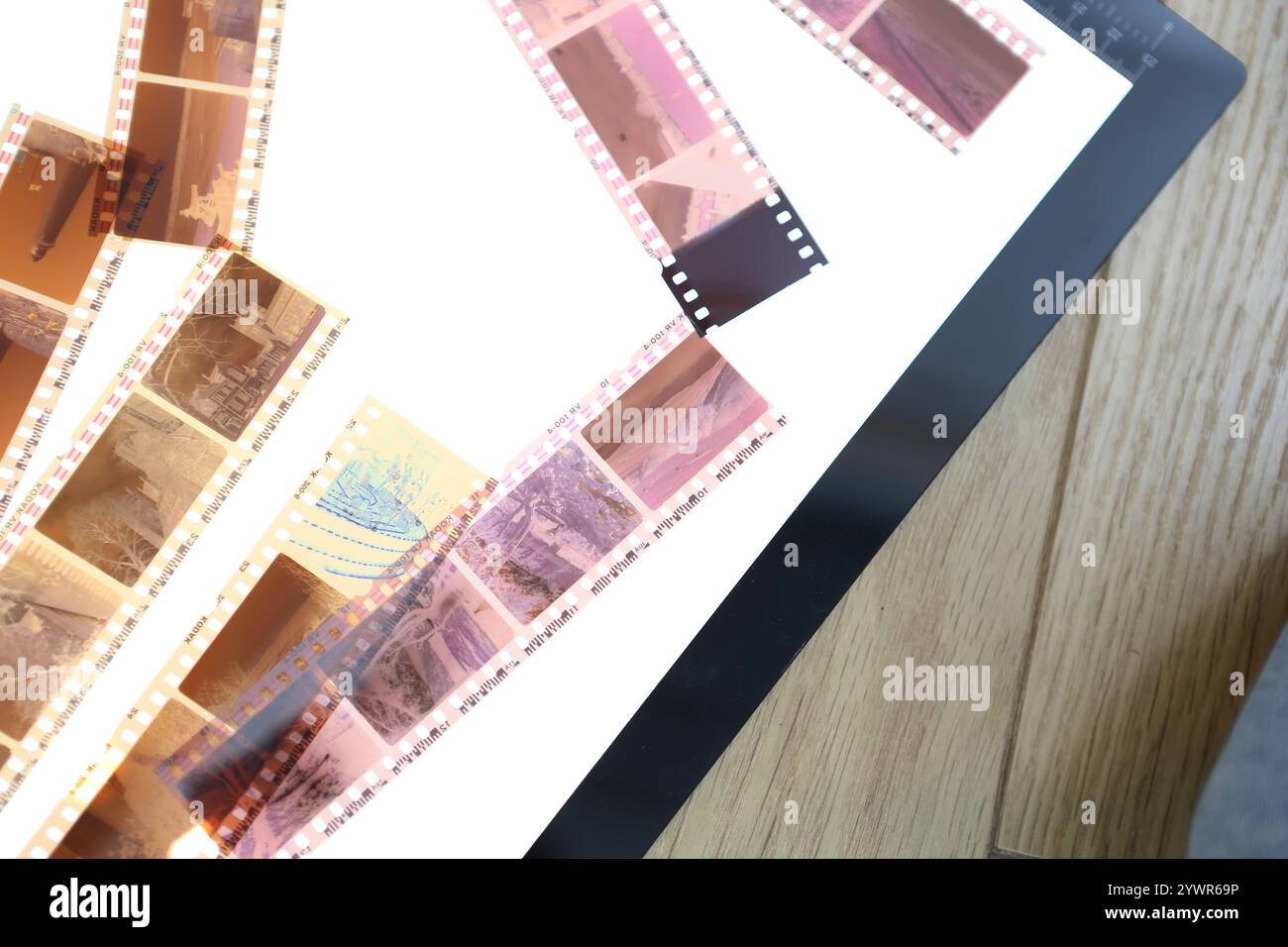 35mm film negatives on lightbox Stock Photo - Alamy