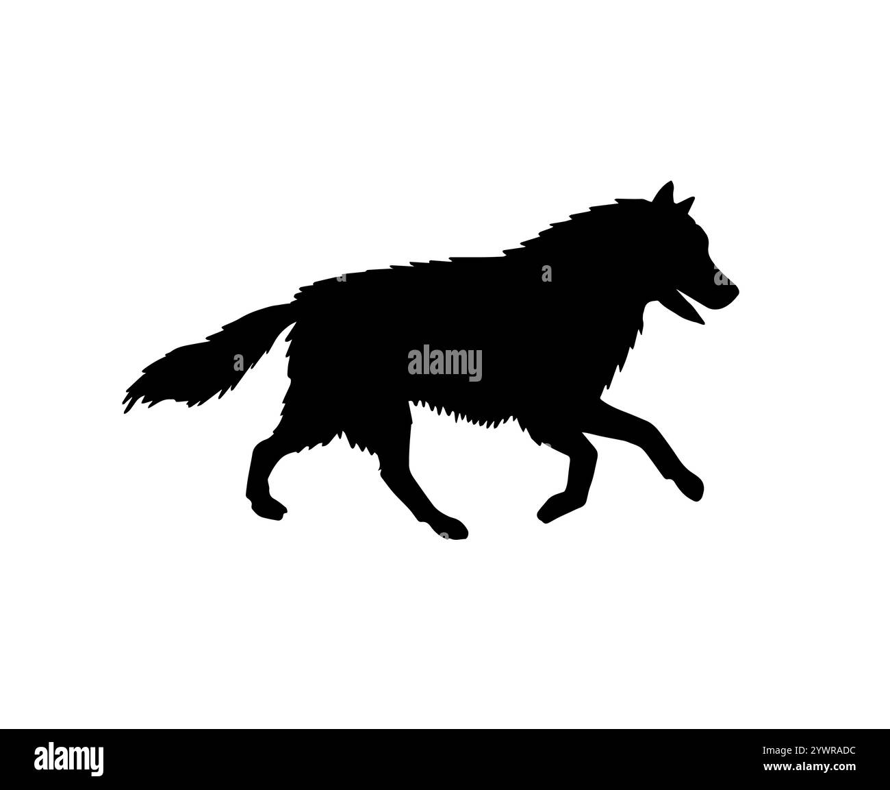 Vector black running husky dog silhouette isolated on white background ...