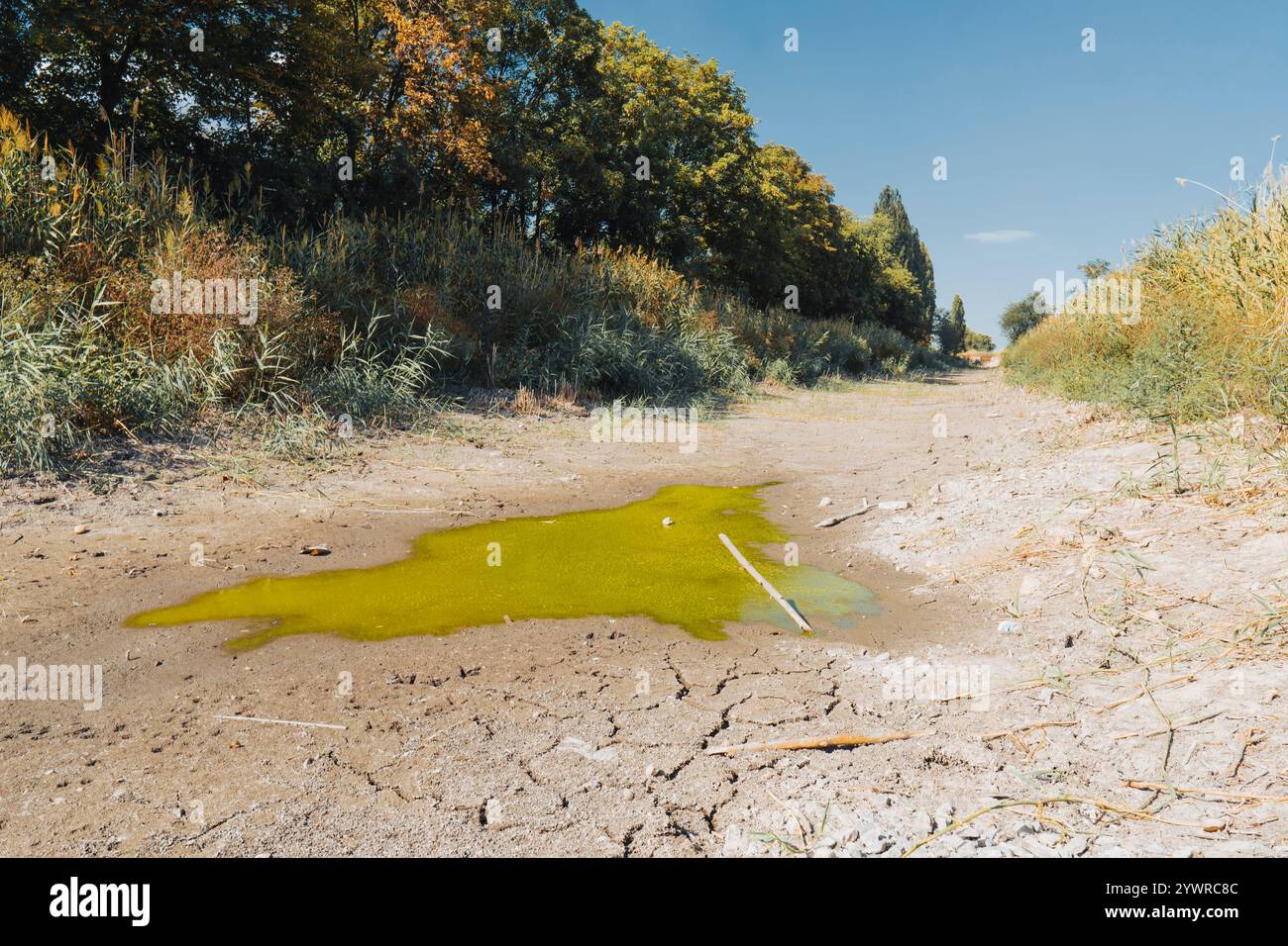 Dry river bed on a sunny summer day. Concept of climate change, drought ...