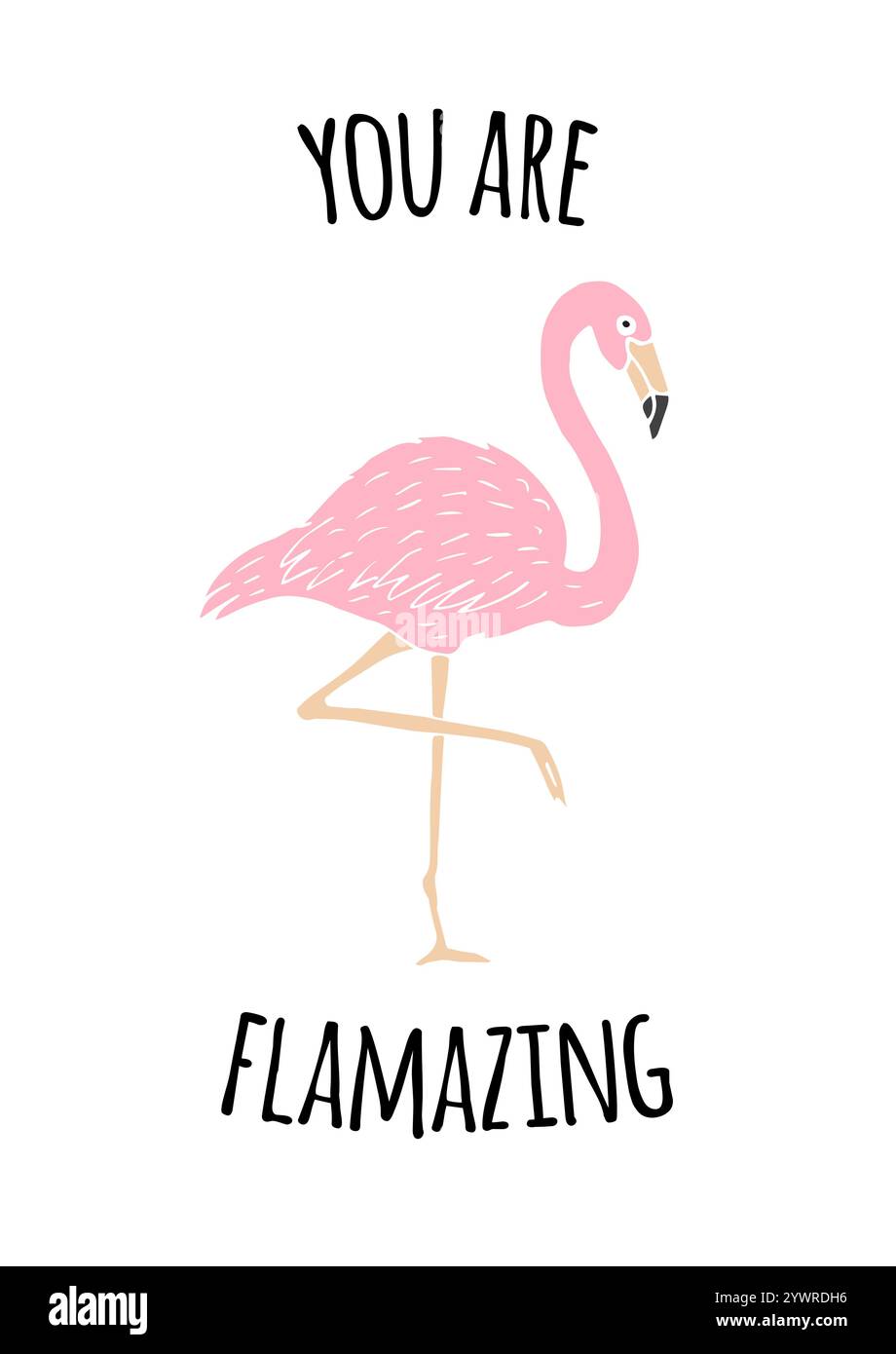 Flamingo saying hi-res stock photography and images - Alamy