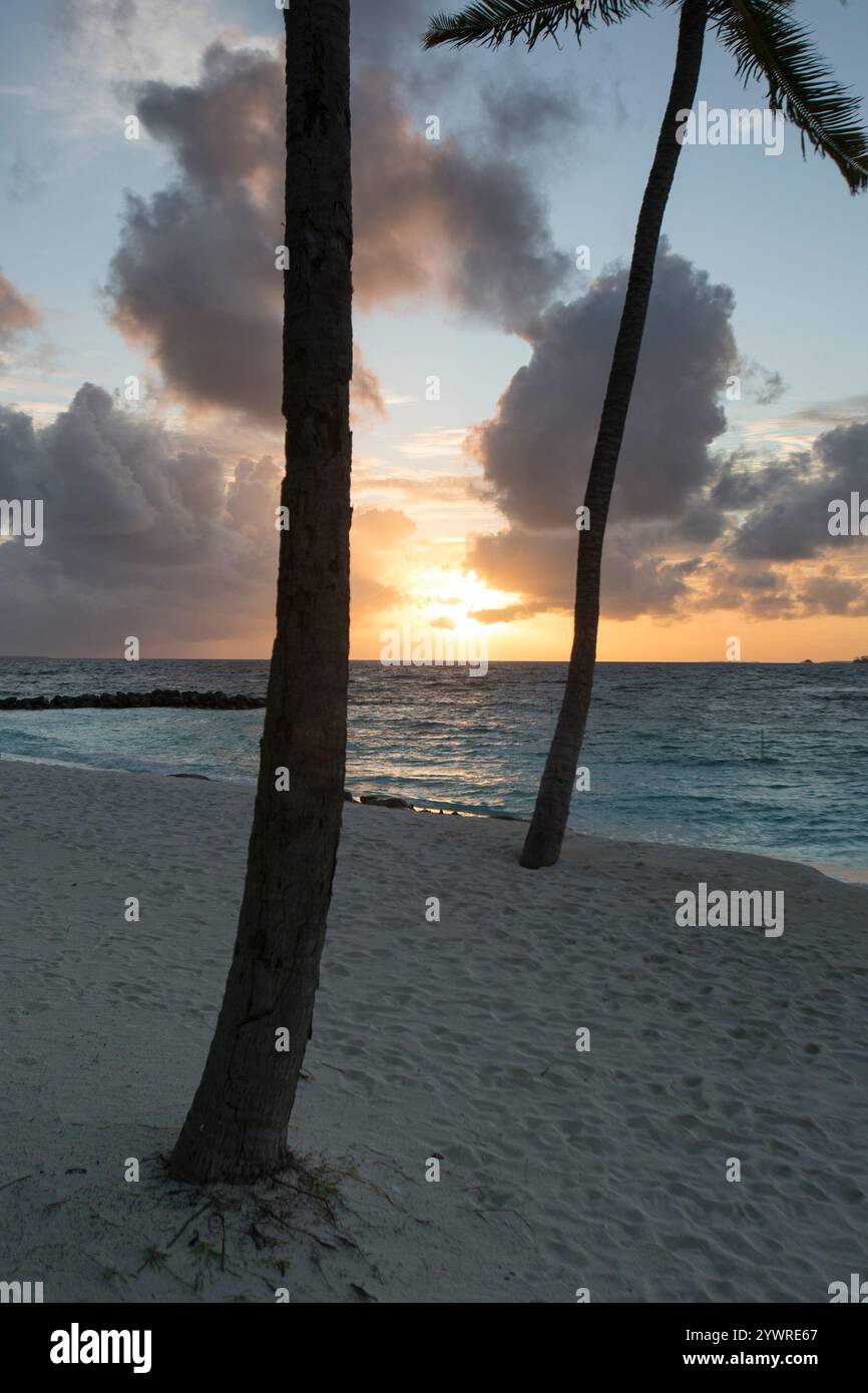 Beautiful scenes by the beach in the Maldives Stock Photo - Alamy