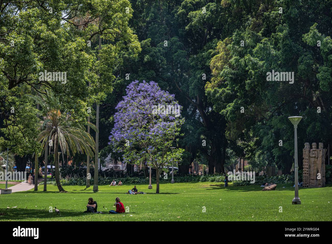 Photo of people relaxing in Hyde Park on a spring day in Sydney ...