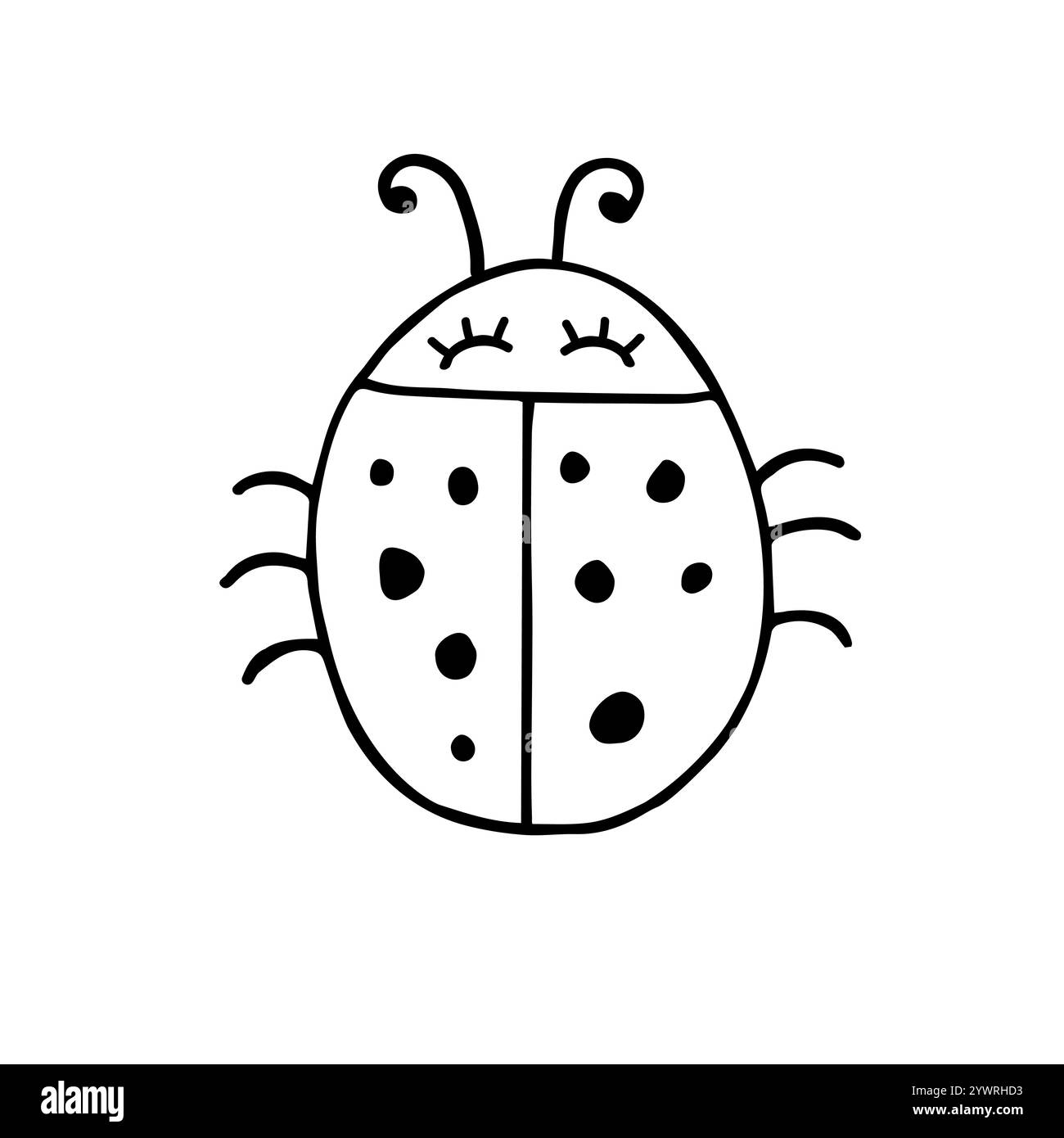 Vector hand drawn doodle sketch ladybug isolated on white background ...