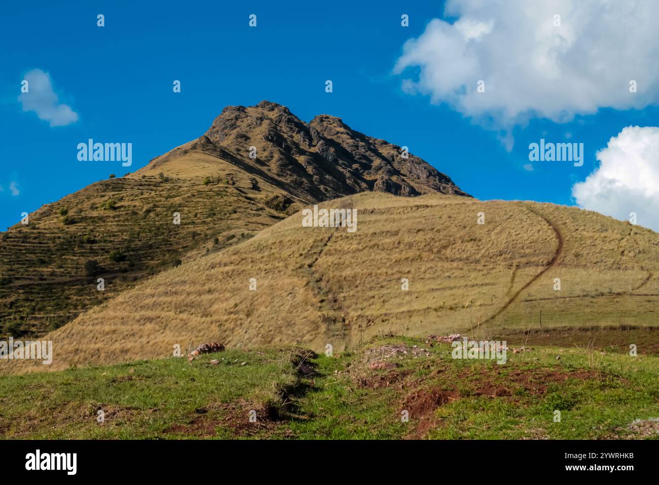 Urubamba village in Peru, Lares trek. Vegetation of mountains in Peru ...