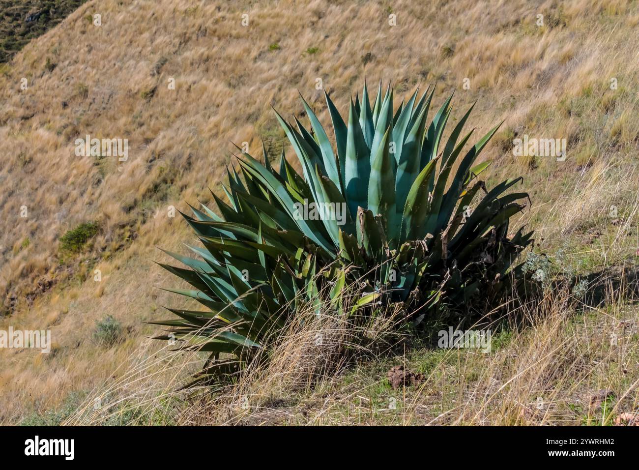 Trek community hi-res stock photography and images - Alamy