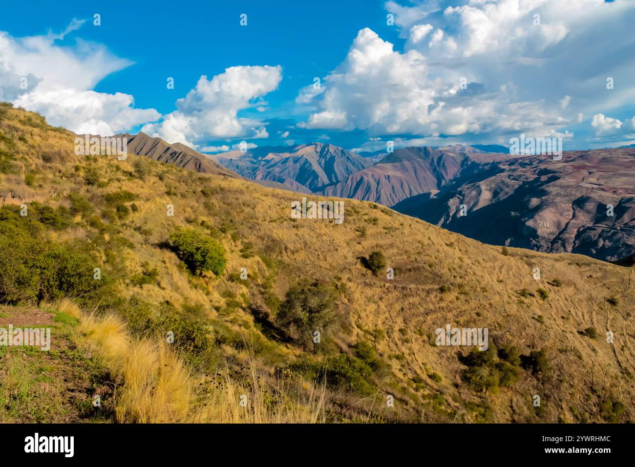 Urubamba village in Peru, Lares trek. Vegetation of mountains in Peru ...