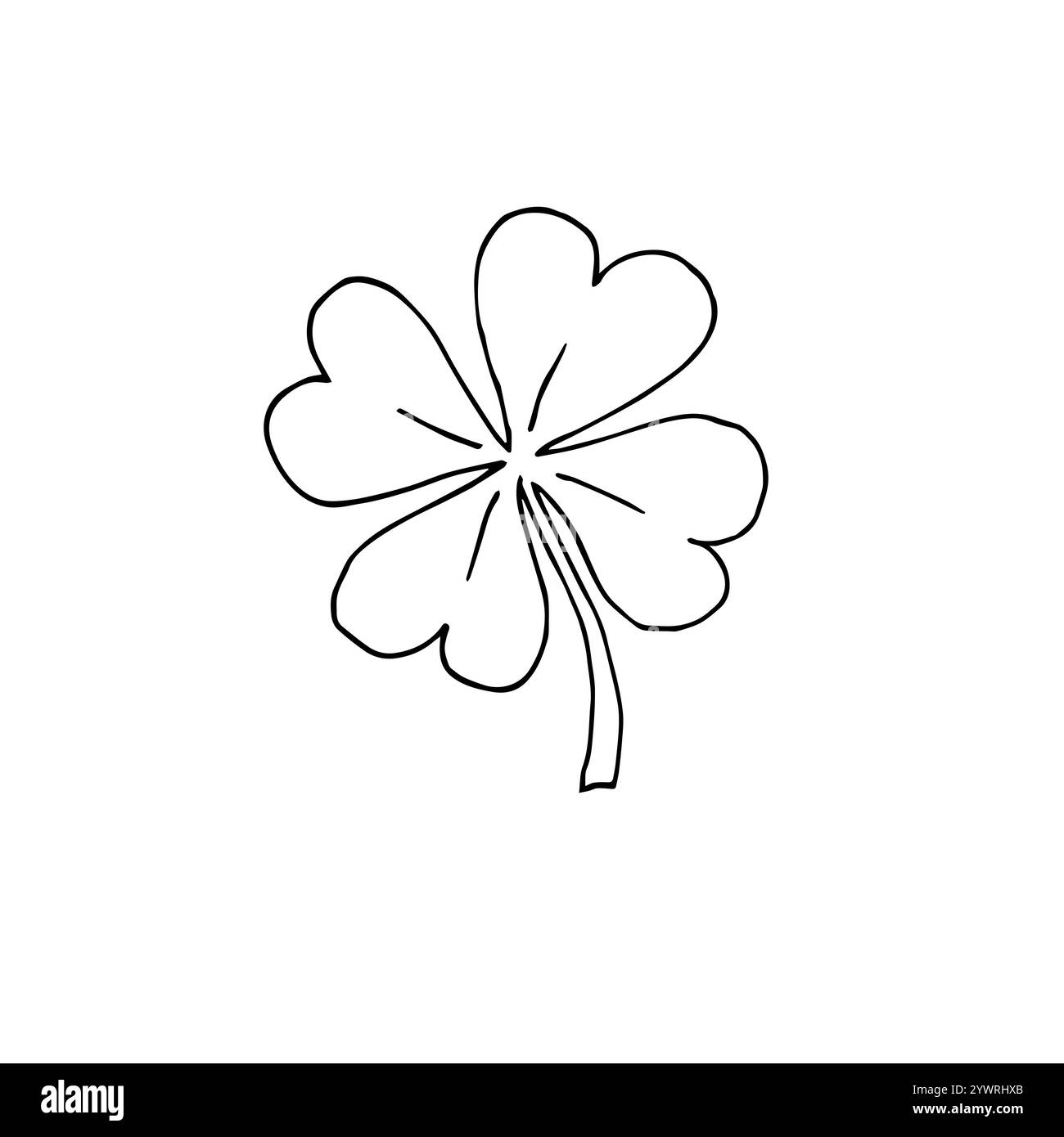 Vector hand drawn doodle sketch shamrock clover isolated on white ...