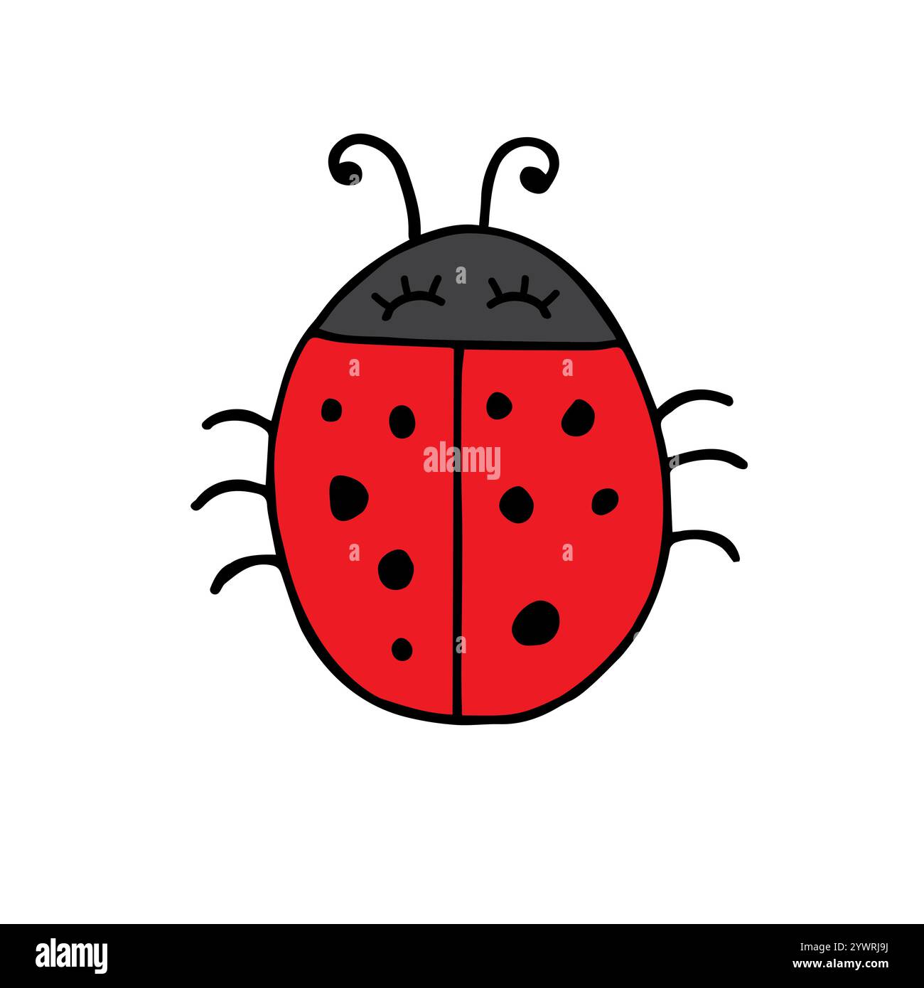 Vector hand drawn doodle sketch red ladybug isolated on white ...