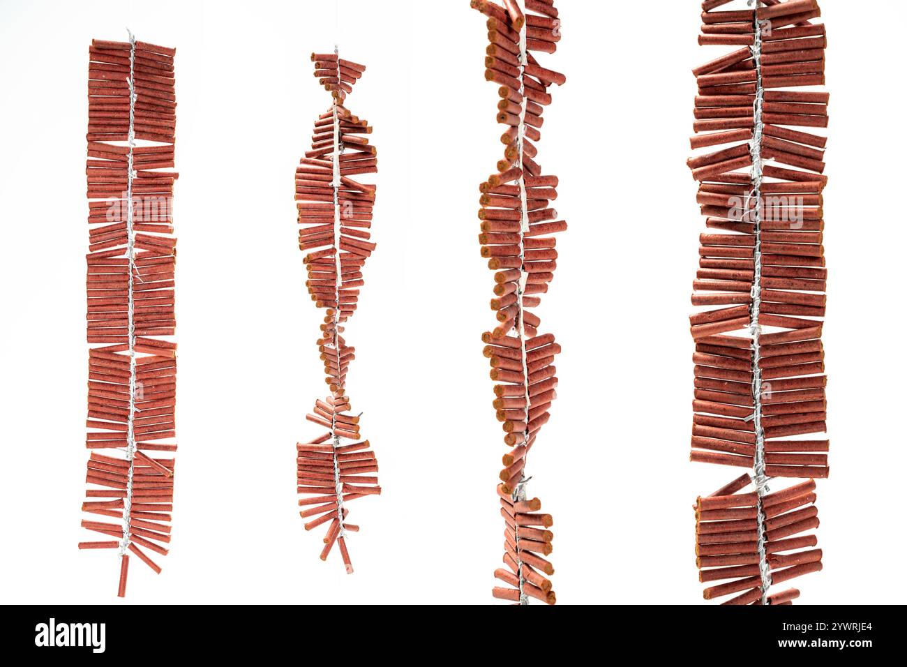 Set of a string of Chinese firecrackers on the rope isolated over a ...