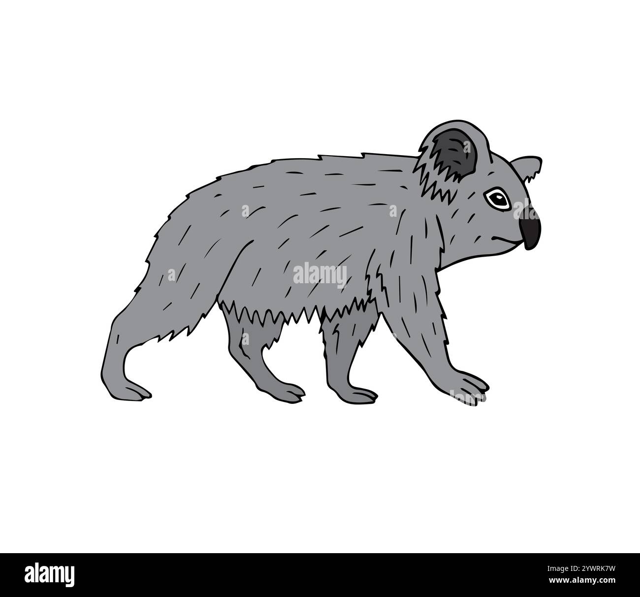 Vector hand drawn doodle sketch colored koala isolated on white ...