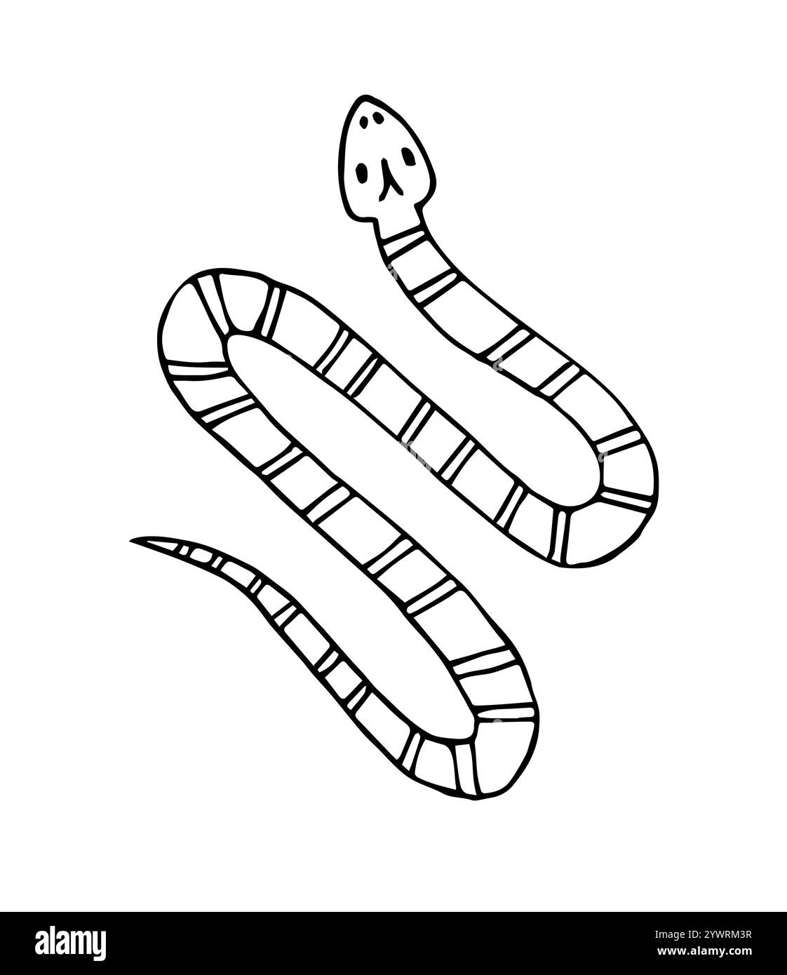 Vector hand drawn doodle sketch snake isolated on white background ...