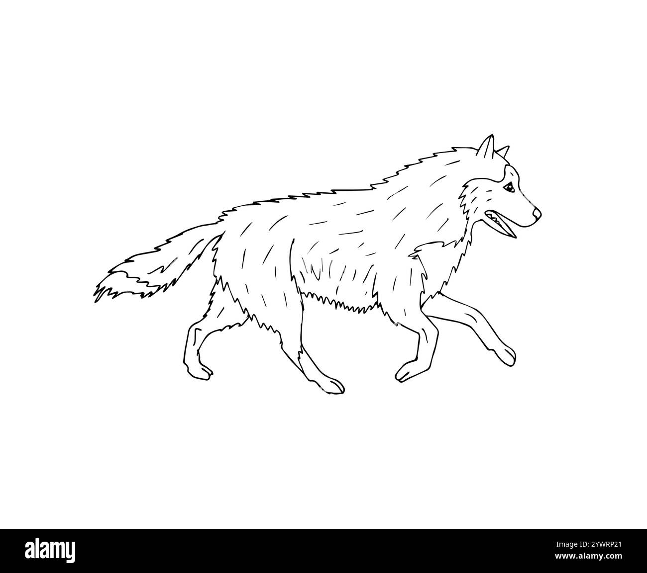 Vector hand drawn doodle sketch running husky dog isolated on white ...