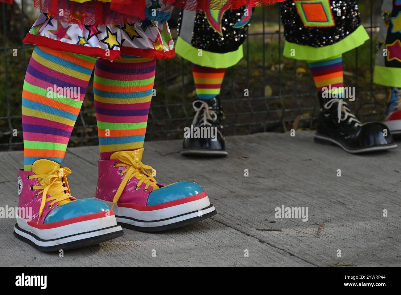 Tijuana, Baja California, Mexico. 10th Dec, 2024. Professional clowns ...