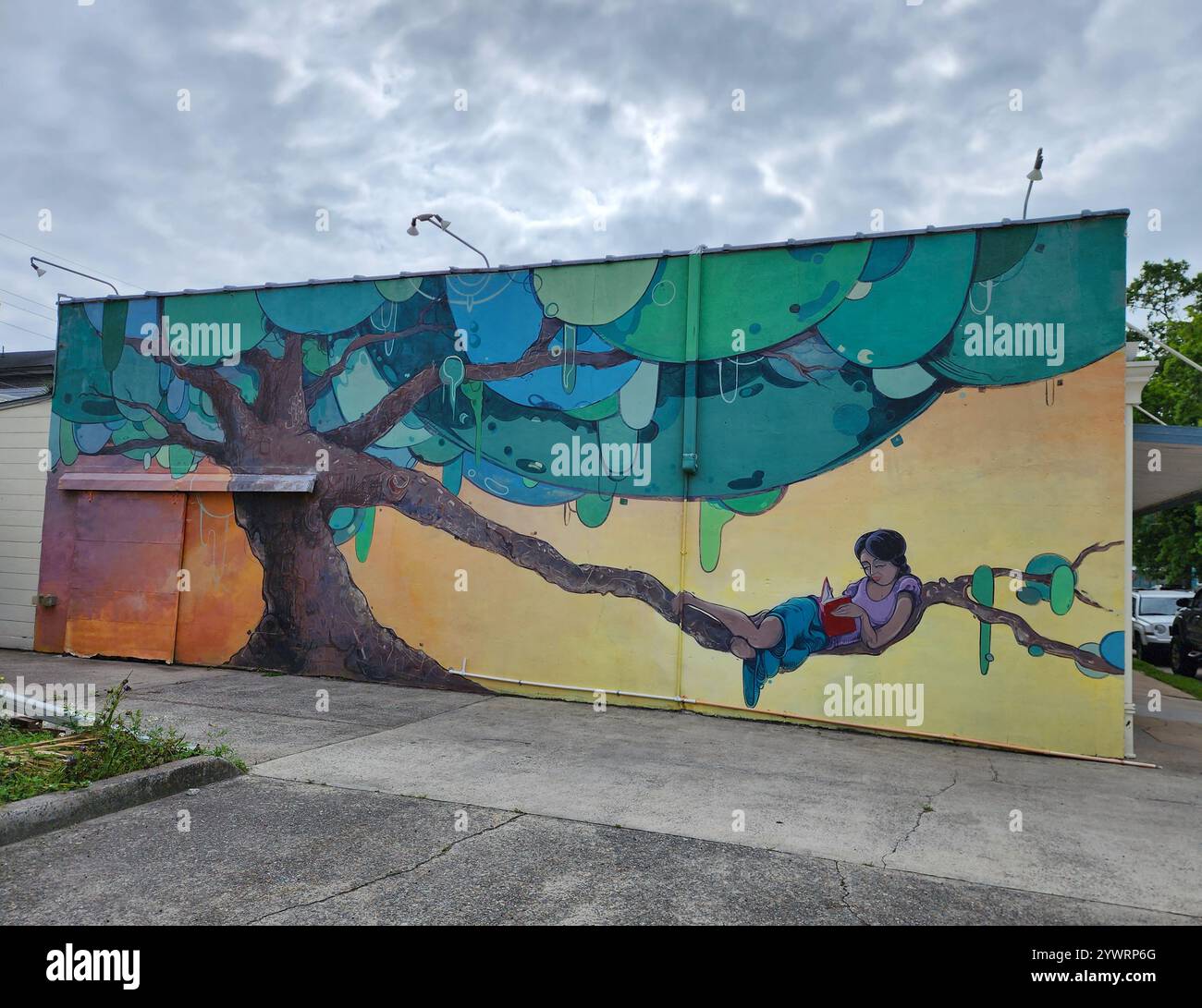 Mural of a woman reading a book while lounging on a live oak tree ...