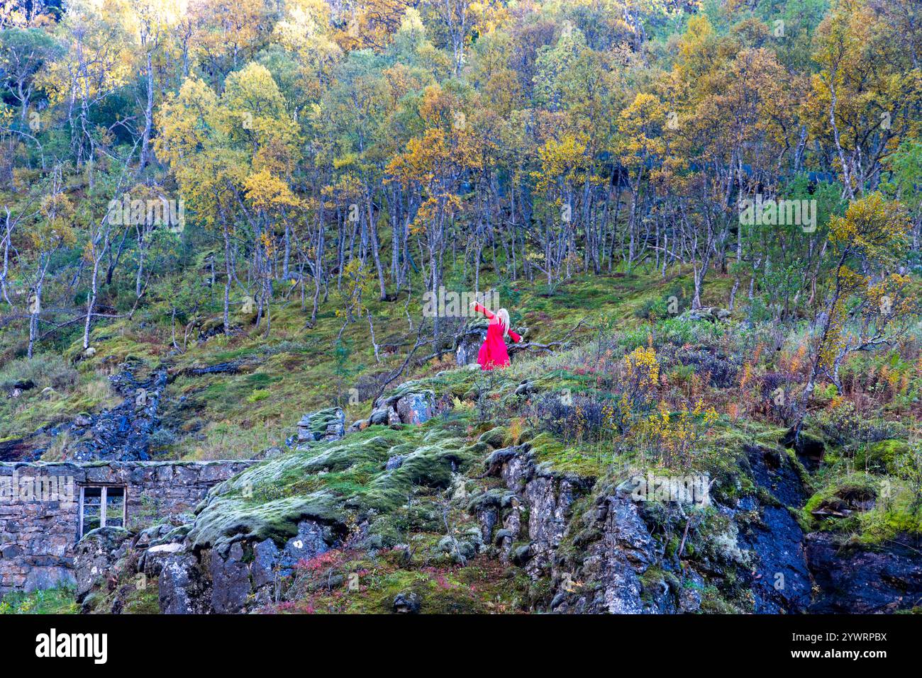 Huldra the Seducer in flowing red dress dances and sings beside ...