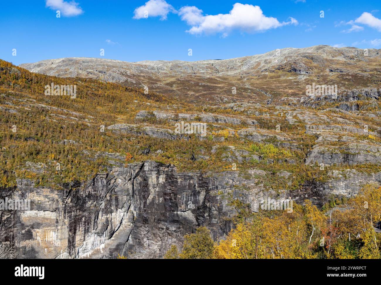 Landscape of Flamsdalen valley viewed from the Flam railway train travelling between Flam ...