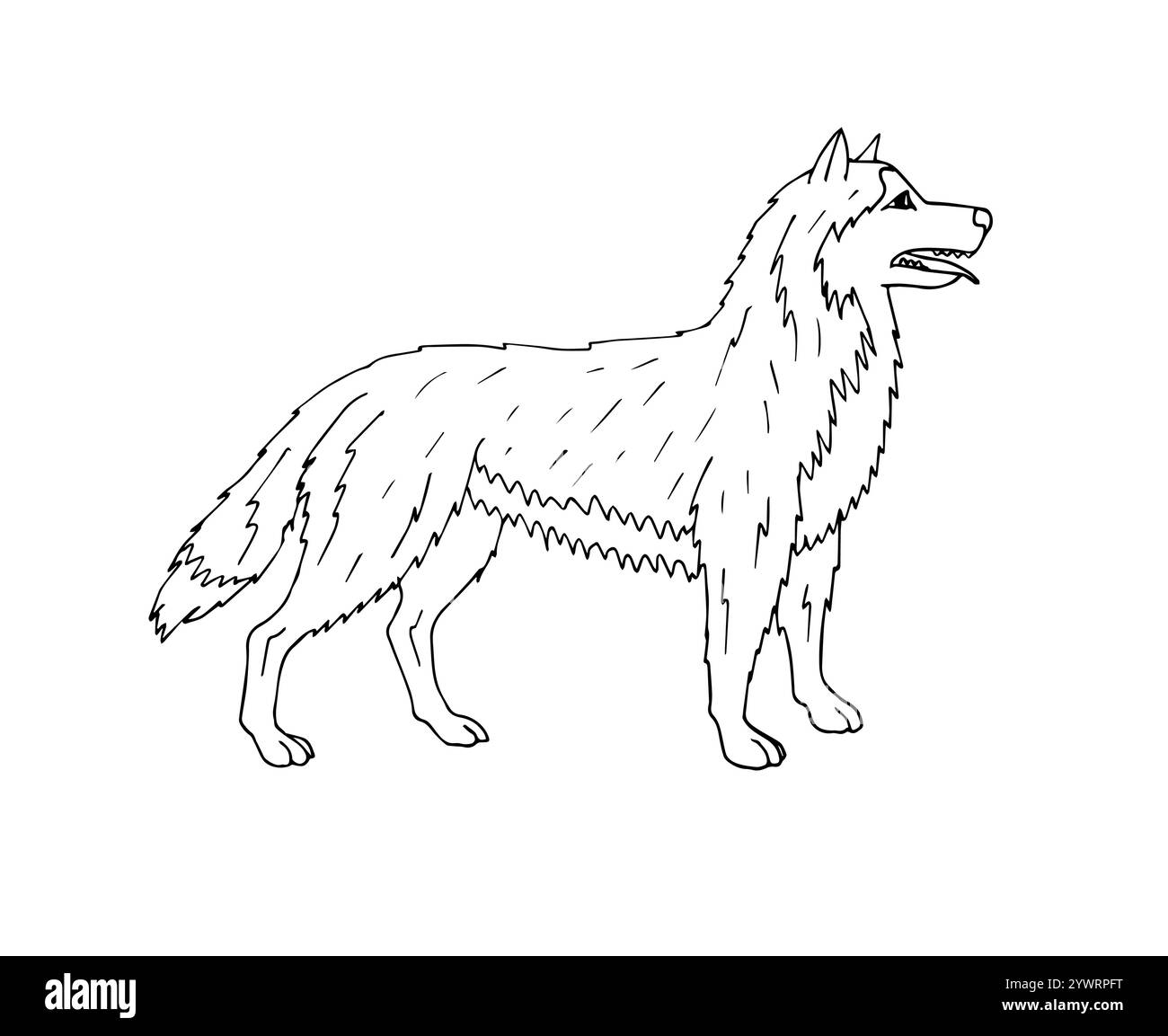 Vector hand drawn doodle sketch husky dog isolated on white background Stock Vector Image & Art ...