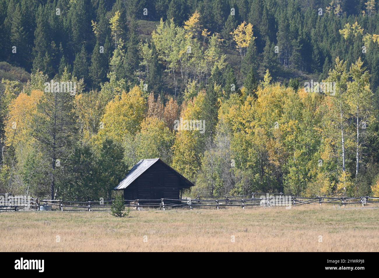 Natural settings and wildlife Stock Photo - Alamy