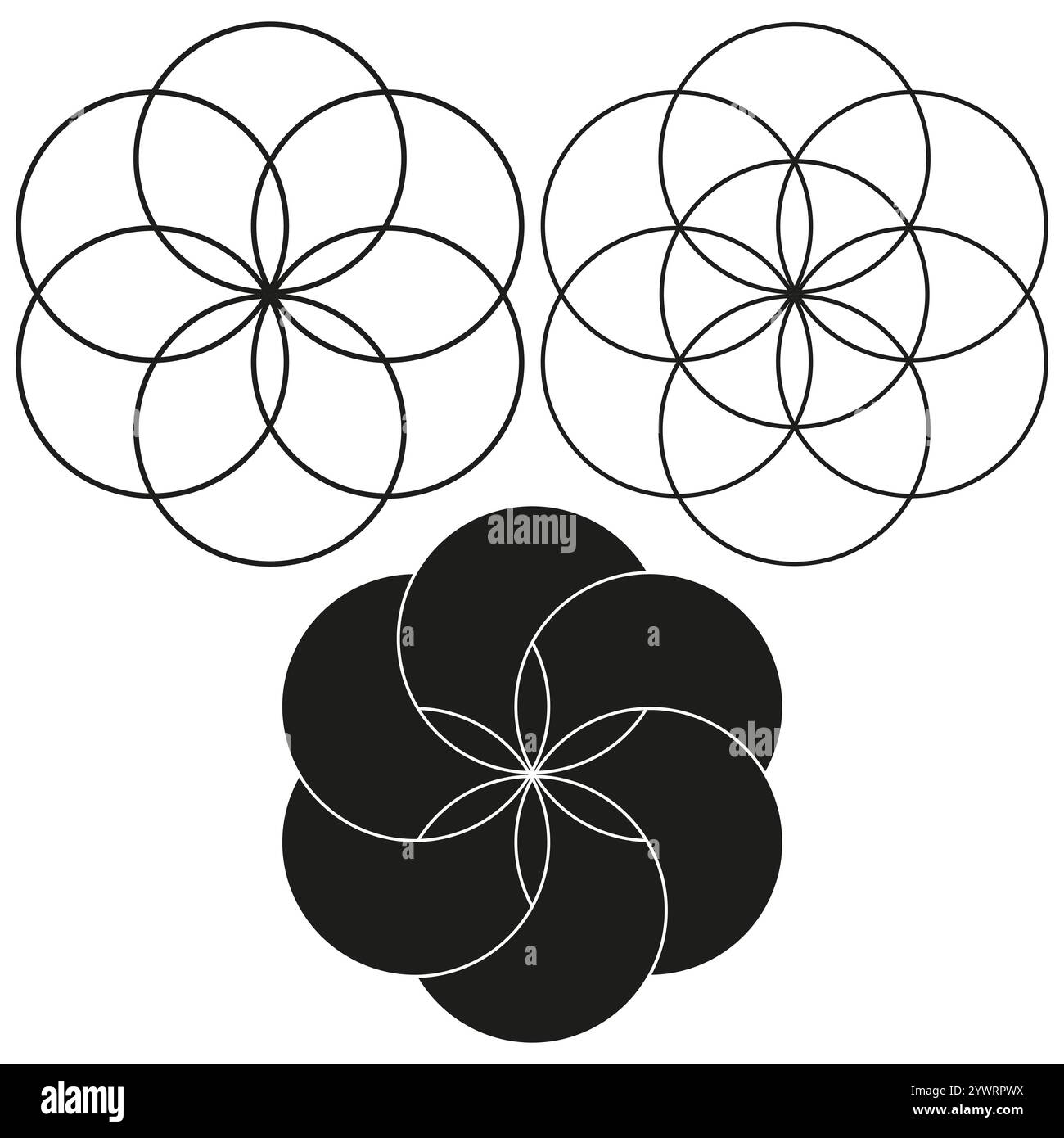 Abstract floral shapes. Black petal design. Geometric flower pattern ...