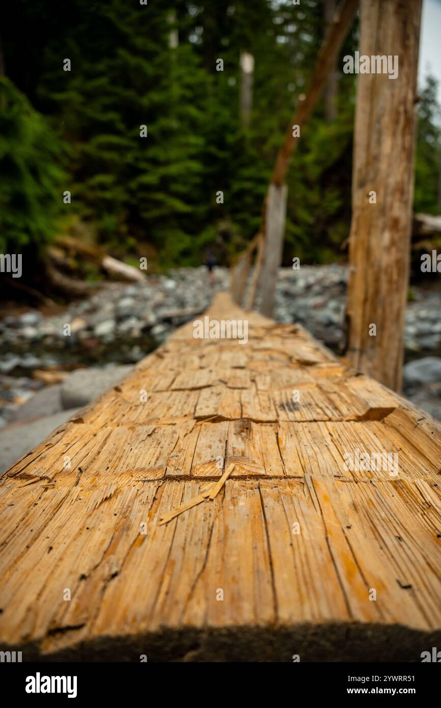 Newly Made Log Bridge Along The Carbon River In Mount Rainier National ...