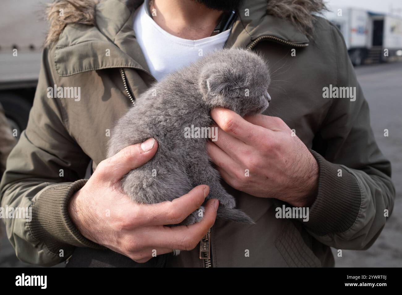 Baathist rule hi-res stock photography and images - Alamy